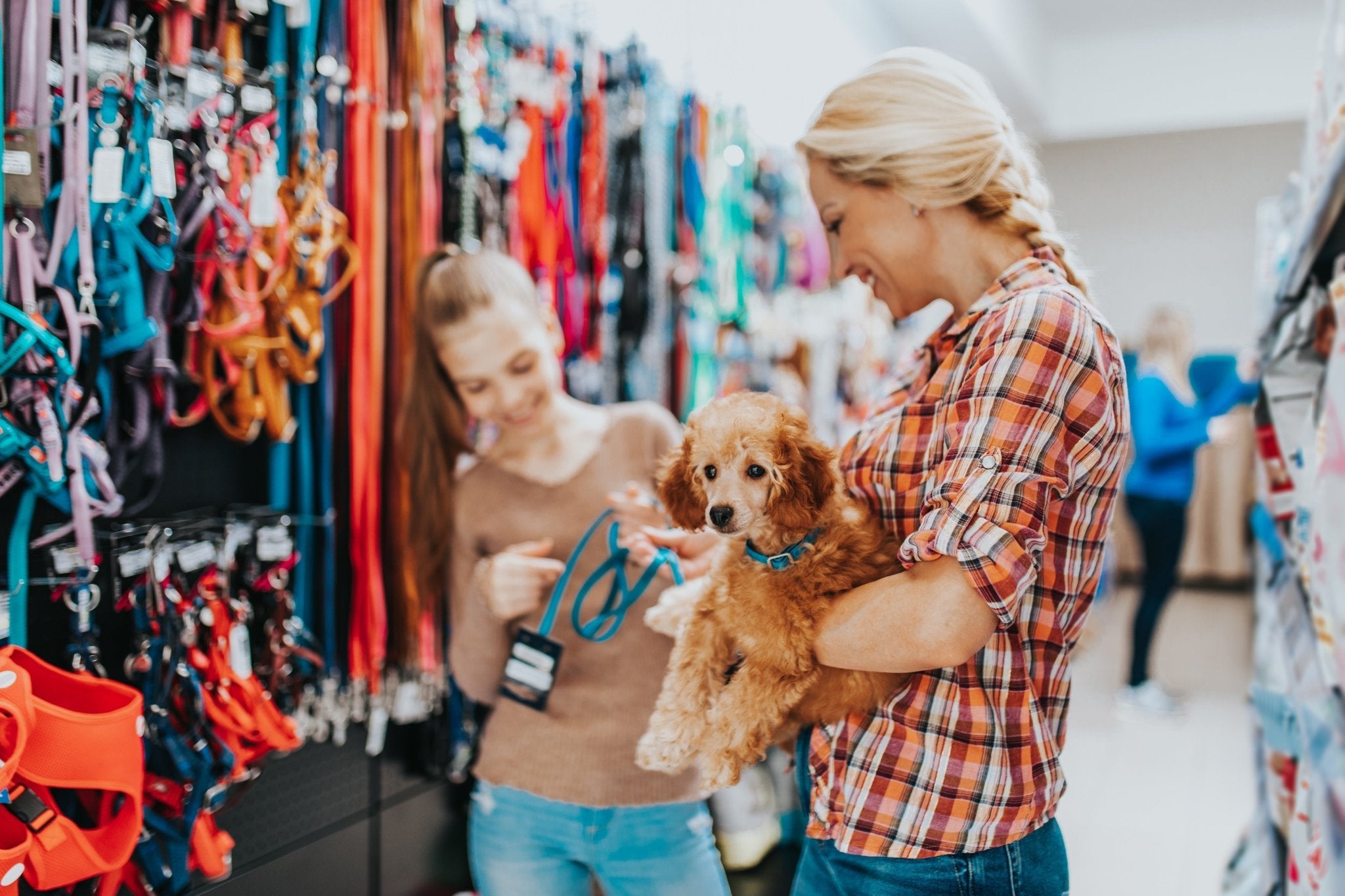 Unconventional Pet Supplies You Didn't Know You Needed – Pets Essentials